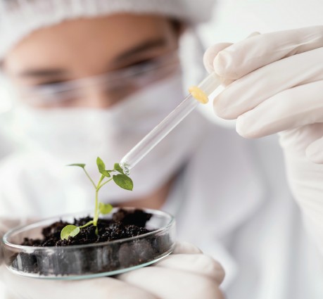 Welcome to - Rabindranath Tagore University